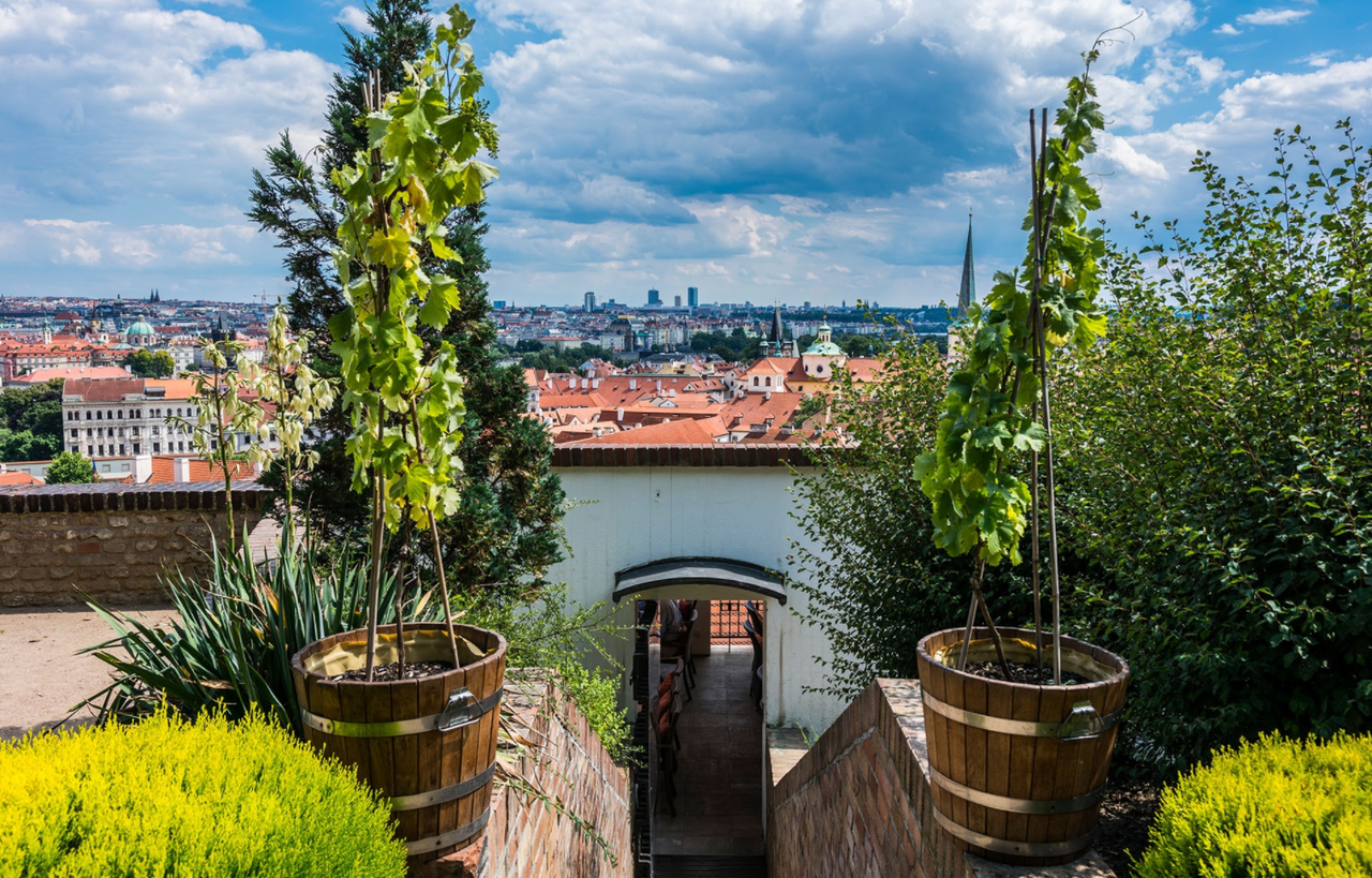 Terasa U Zlaté studně | Avantgarde Prague